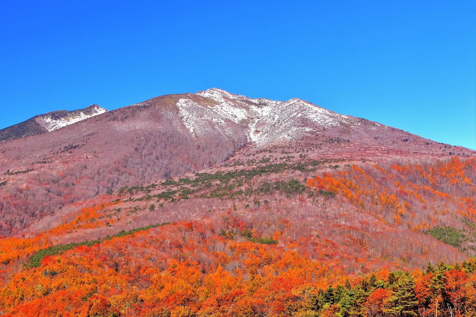 Mercure Miyagi Zao Resort & Spa [Official] | Mercure Miyagi Zao Resort ...